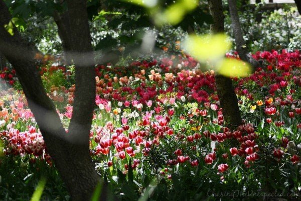 Top 8 Parks in Tehran to Visit at Least Once in Your Trip
