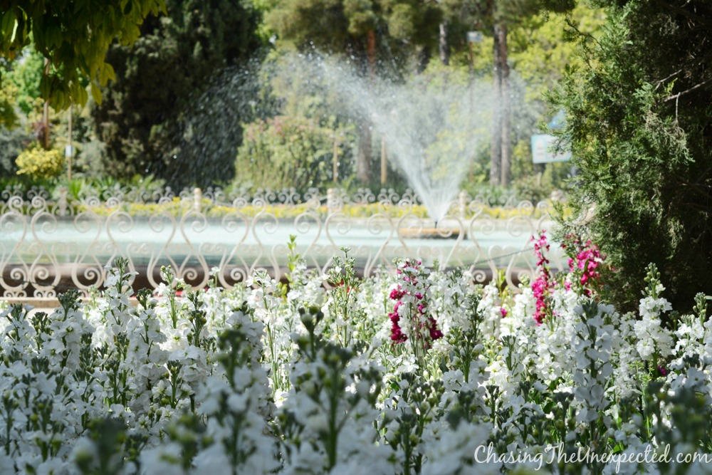 12 Fantastic Things to Do in Shiraz, Iran's City of Poets and ...